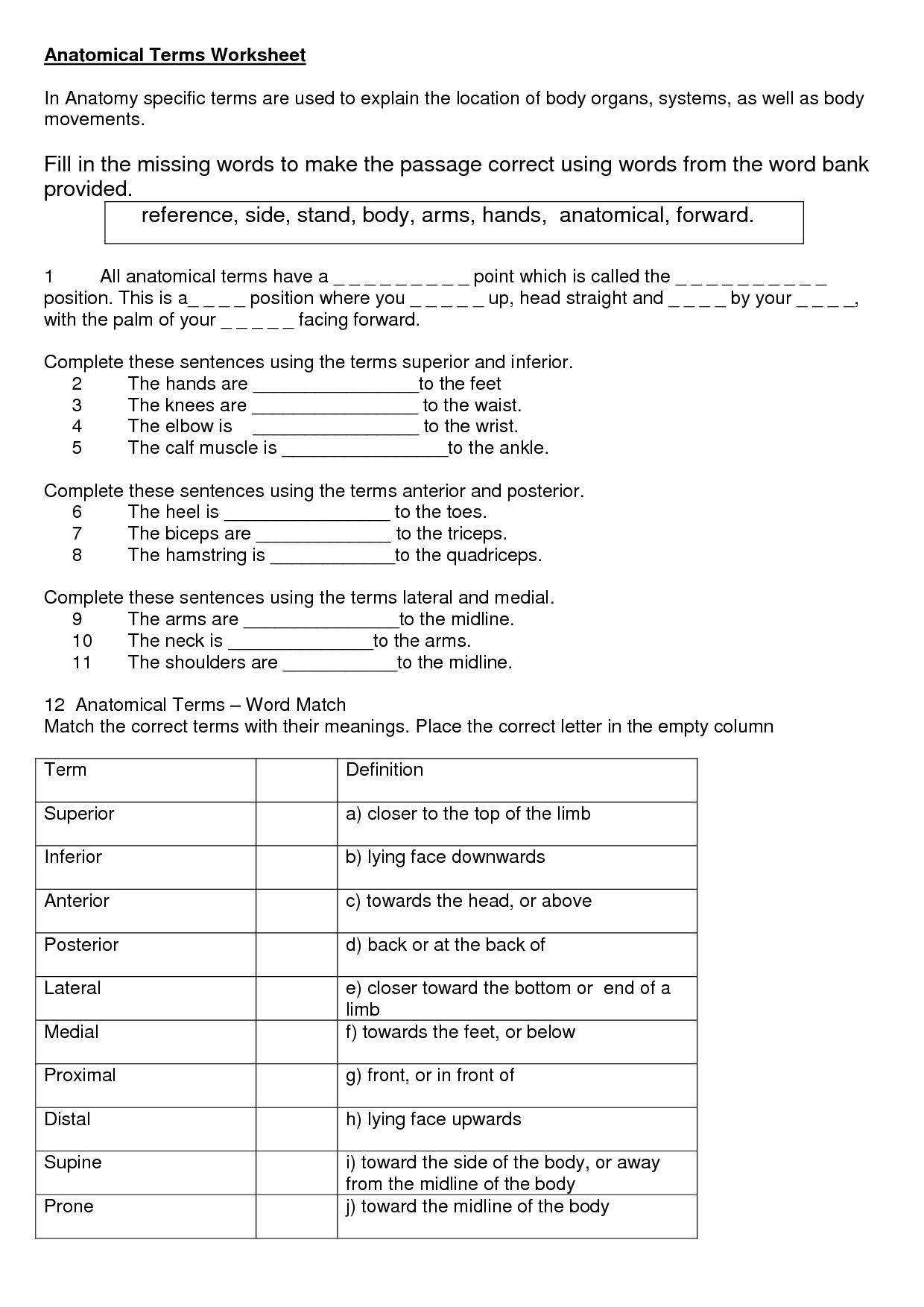 Using Anatomical Language Worksheet Answer Key Language Worksheets
